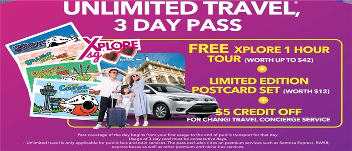 STP+ 3 Days Pass (Online) - Changi Recommends