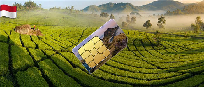 Indonesia 3 Days Unlimited Data Sim Card - Changi Recommends