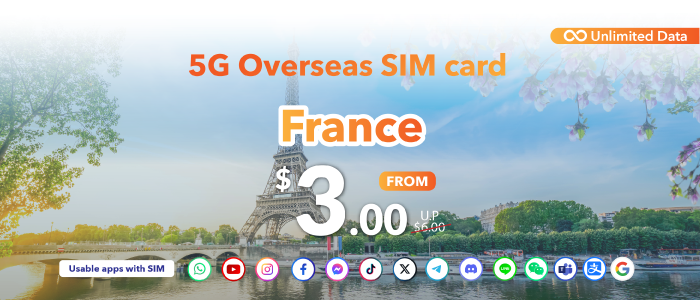 France Prepaid Sim Card - [500MB] High Speed Daily; Unlimited Data - 1 ...